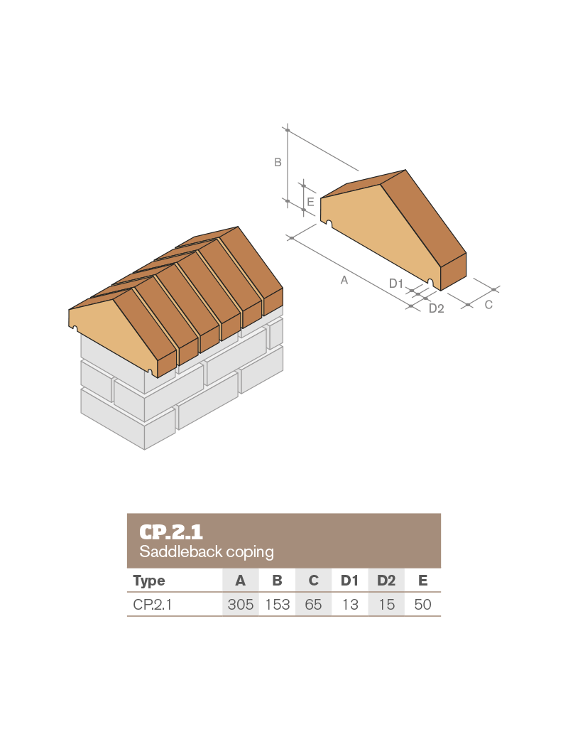 CP.2.1 Saddleback Coping